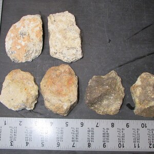 Coprolite Faced Rough Rock Lot | 2 LBS | Multiple Pairs of Halves ...