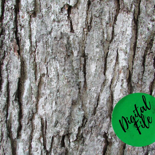 Tree Bark - Etsy