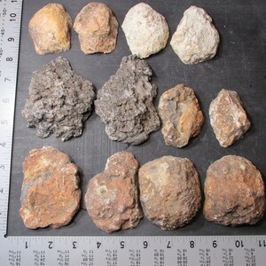 Coprolite Faced Rough Rock Lot | 4 LBS | Multiple Pairs of Halves ...