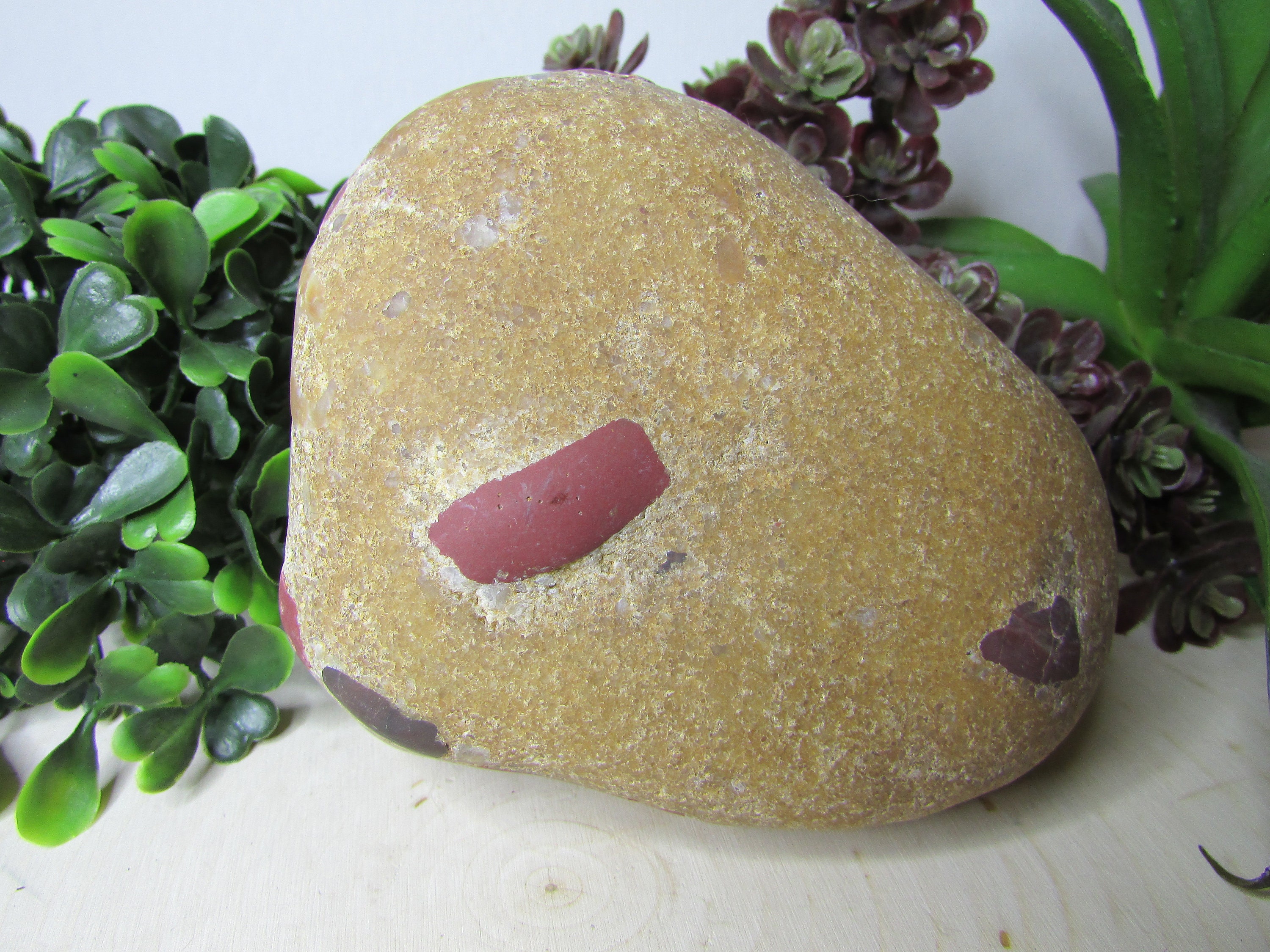 Medium Pudding Stone Rough Tumbled 1lb 7oz 3.75 | Etsy