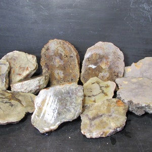 Coprolite Faced Rough Rock Lot | 4 LBS | Multiple Pairs of Halves ...