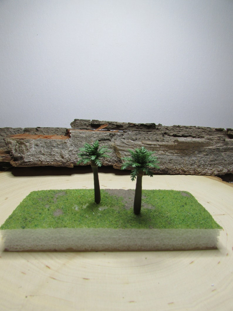Miniature Palm Trees Palm Tree Terrarium Craft Tree Beach | Etsy