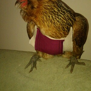 Birdy Bra Crop Supporter / Chest Protector made in USA - Etsy