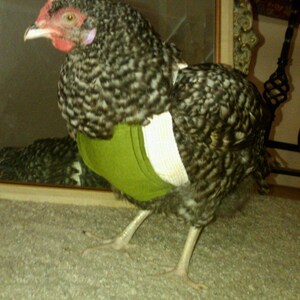 Birdy Bra Crop Supporter / Chest Protector made in USA - Etsy