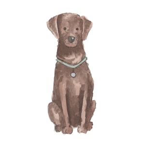 5x7 Chocolate Lab Print - Etsy