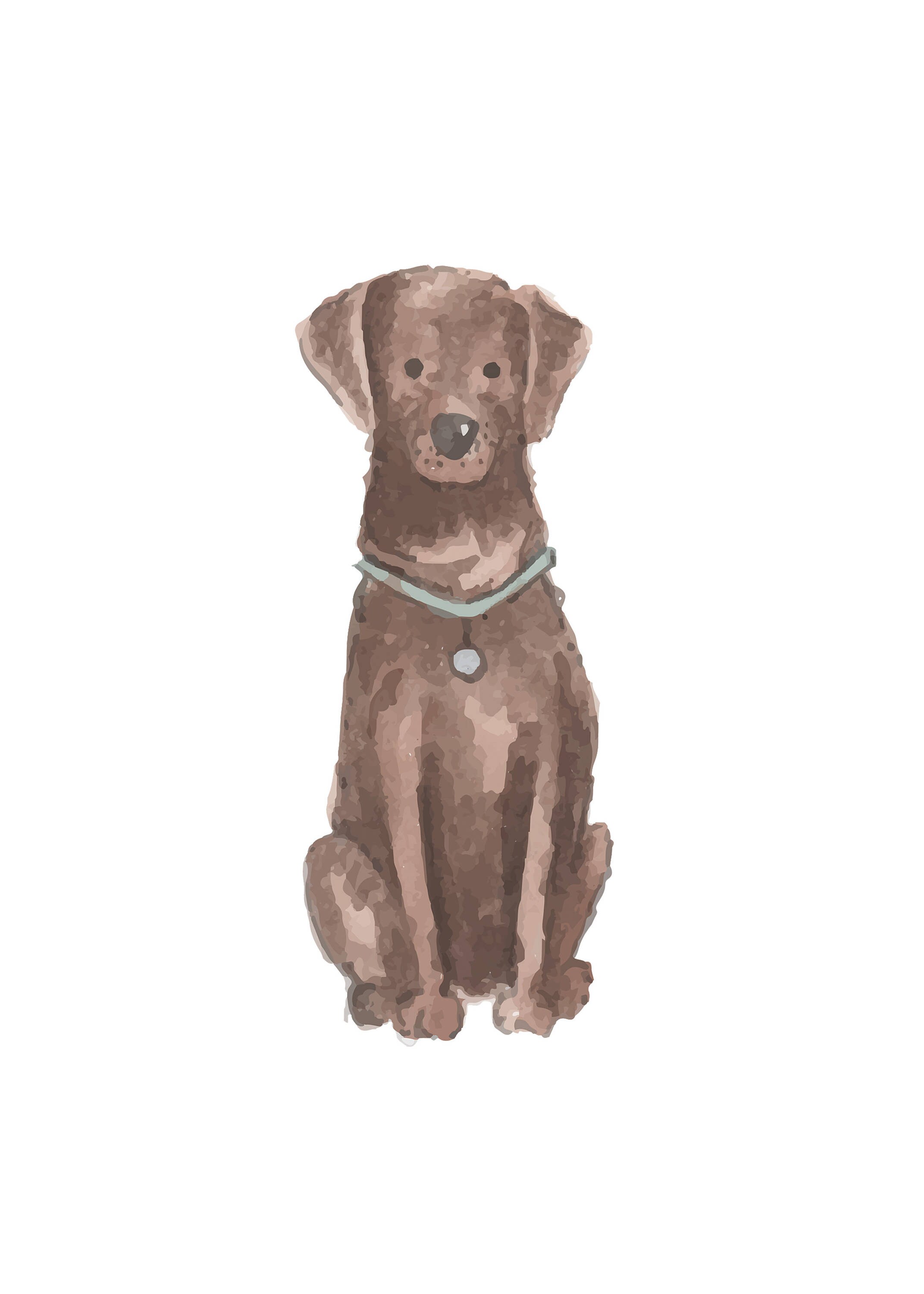 5x7 Chocolate Lab Print - Etsy