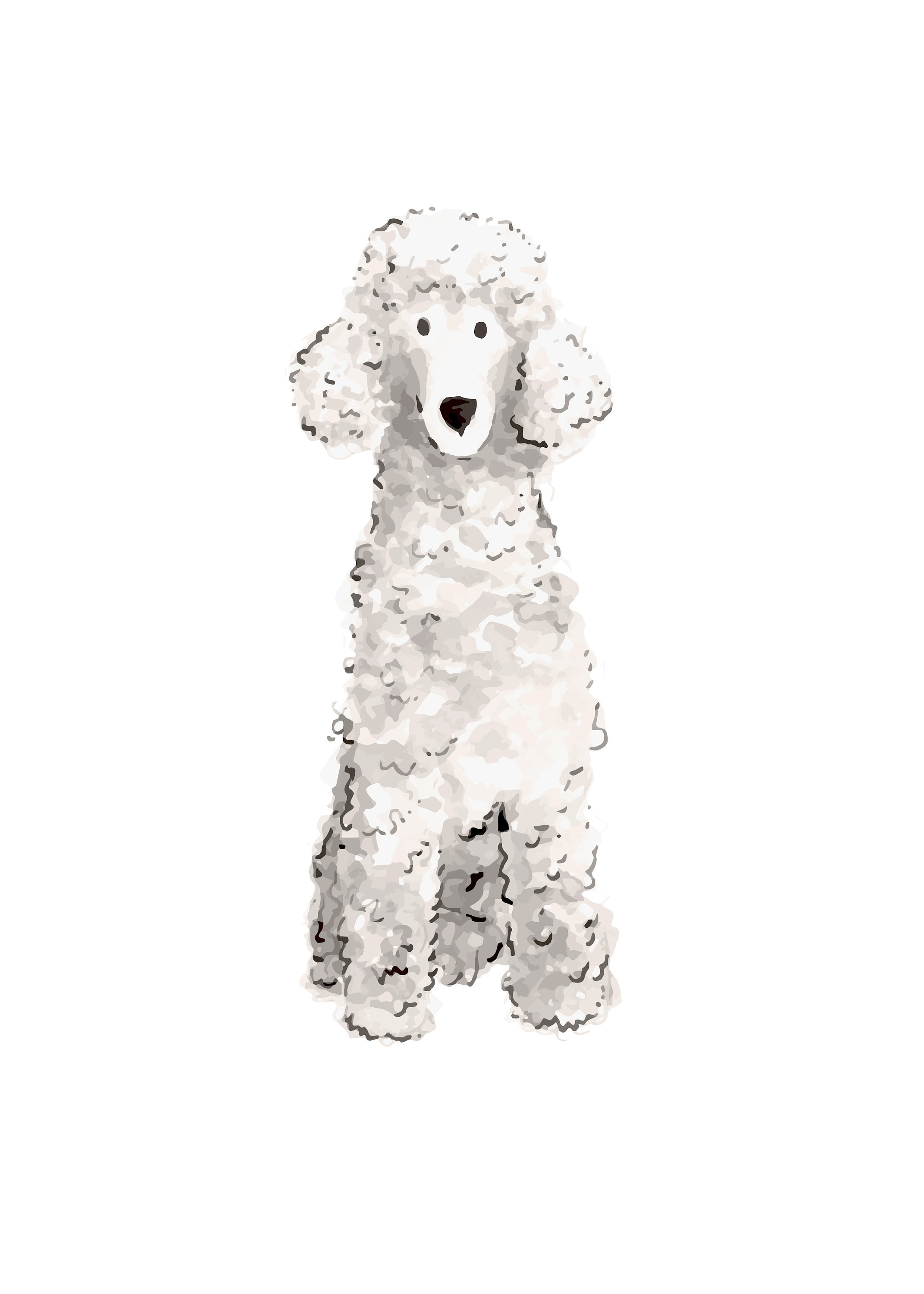 5x7 White Standard Poodle Print - Etsy