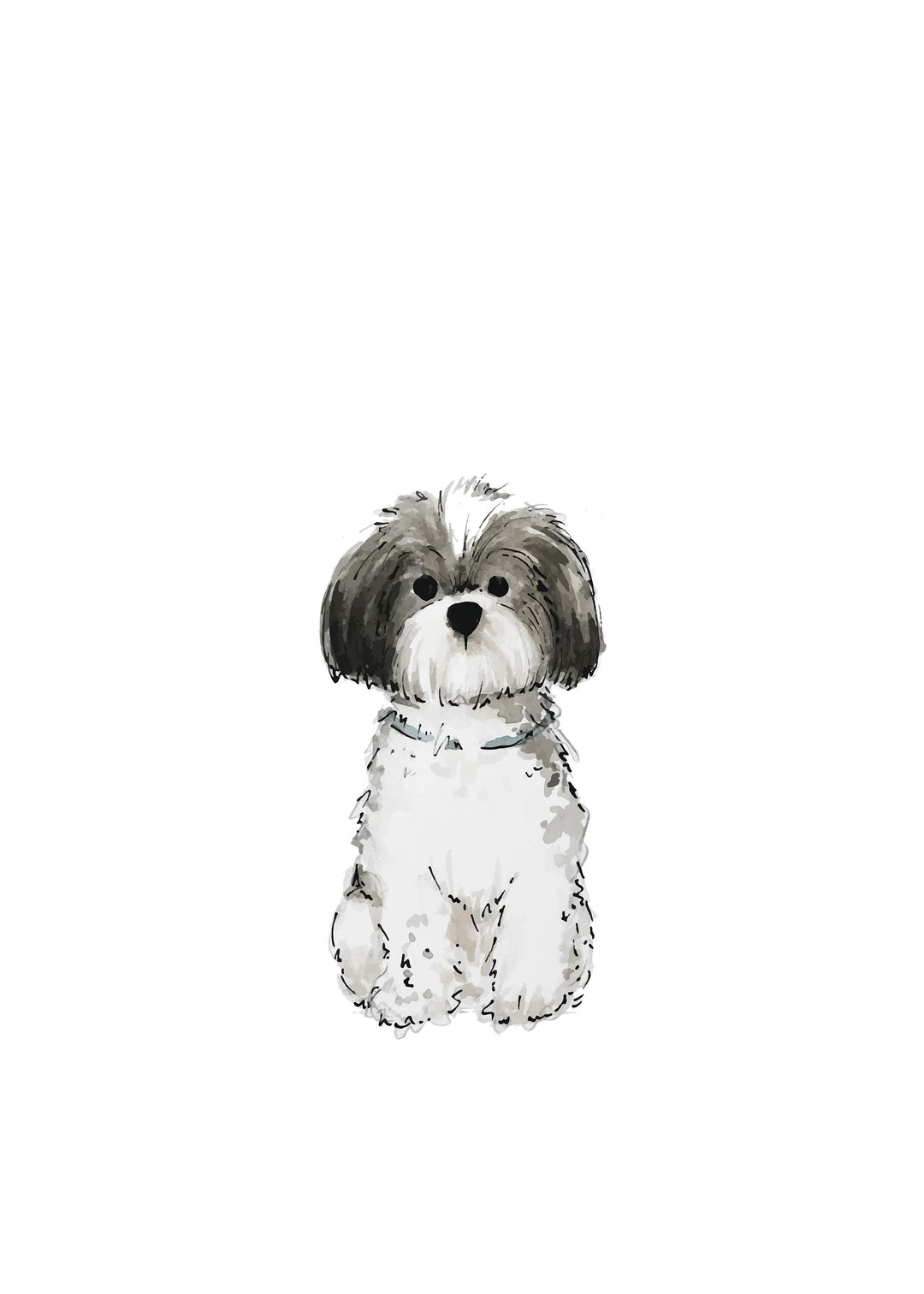 5x7 Shih Tzu Print - Etsy