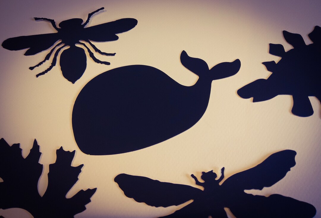 Scratch Art Die Cuts Insects/dinosaur/leaf Kids Crafting - Etsy