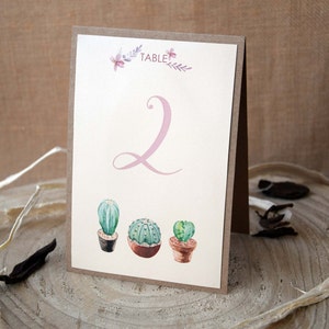 Cactus Wedding Table Numbers Succulents Table Numbers Unique - Etsy