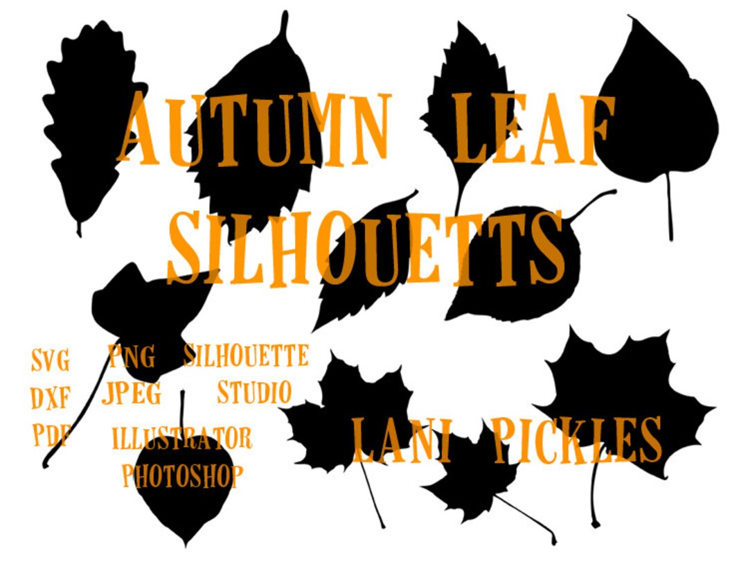 Fall Autumn Leaf Silhouette Cut File, SVG, Vector, Cutter, and Image ...