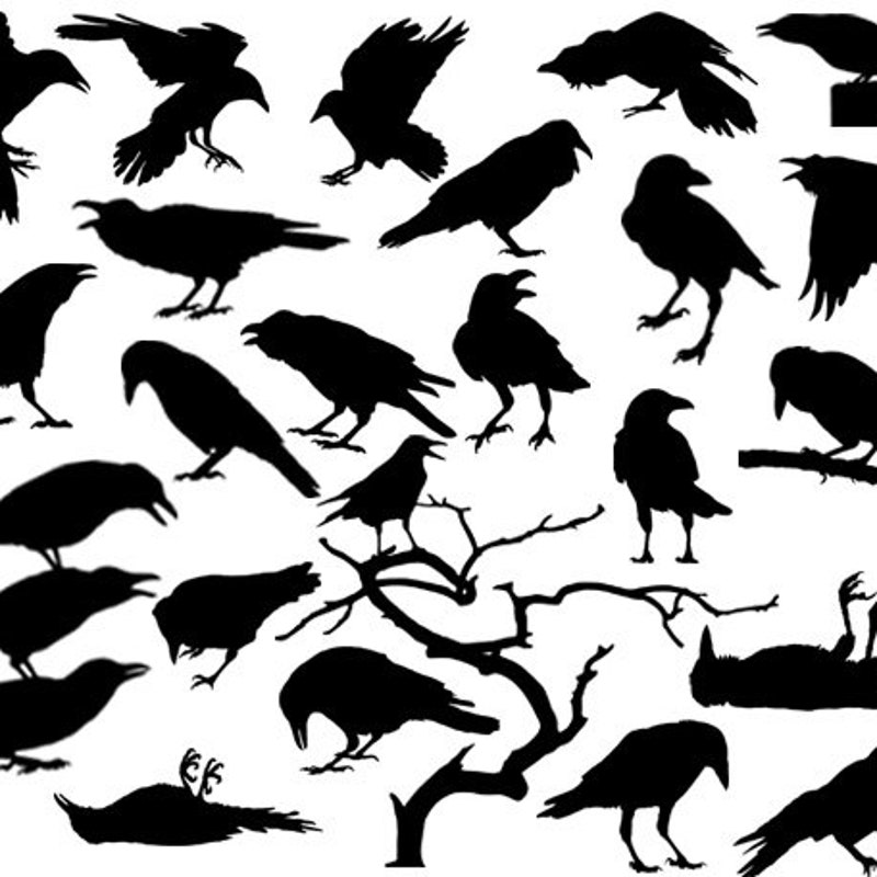 Raven cut out for kids - Etsy.de