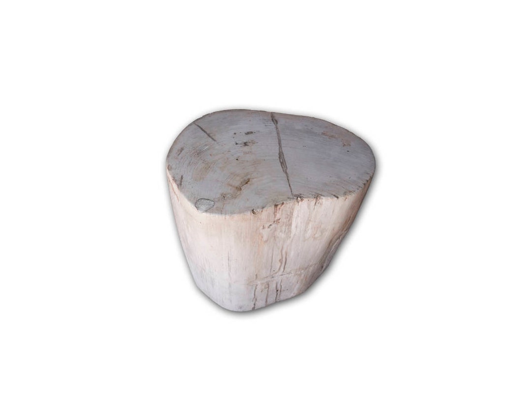 Petrified Wood Log Stool 18in h X 14in X 12in PF-2109 Live Edge Side ...