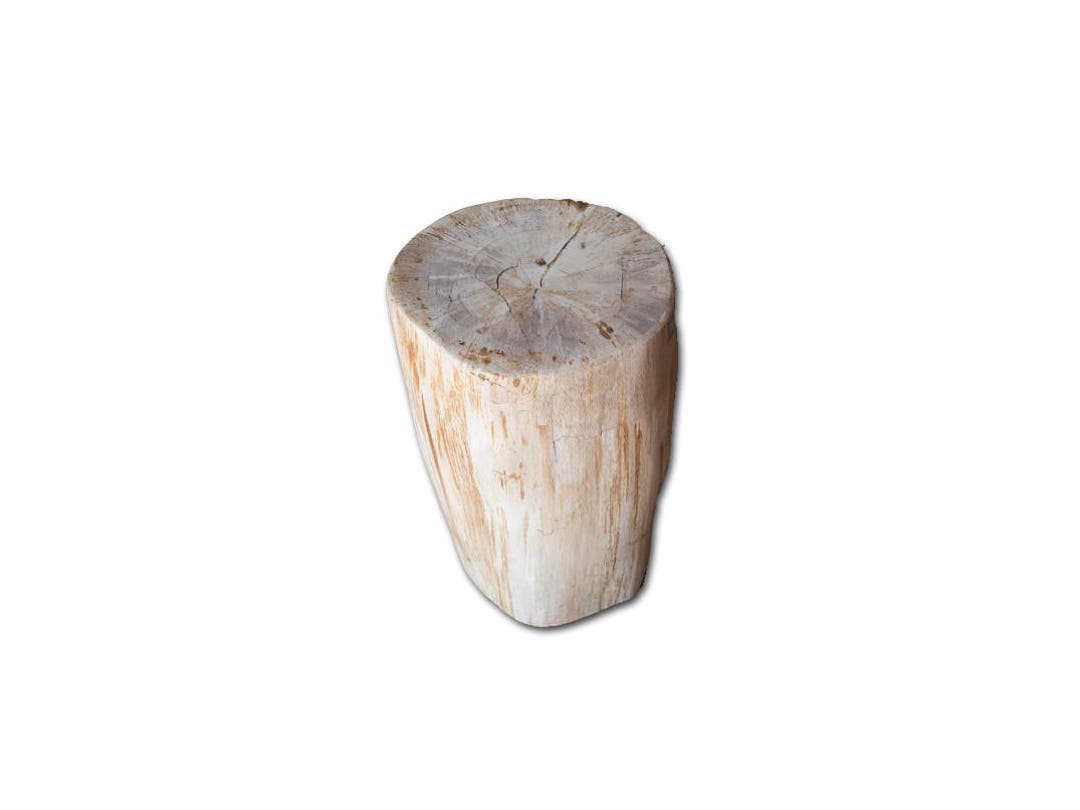 Petrified Wood Log Stool/ Pedestal PF-2096 - Etsy