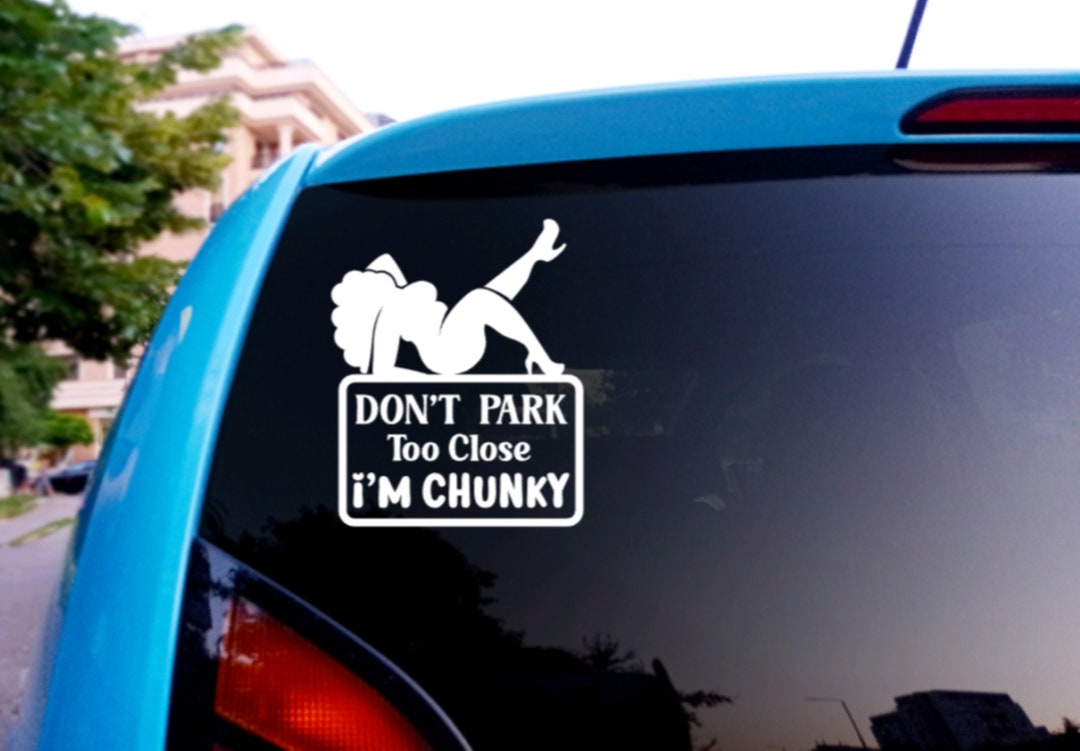 Decal, Car Sticker, Car Window Decal, Funny, Car Accessory, Vinyl Decal ...