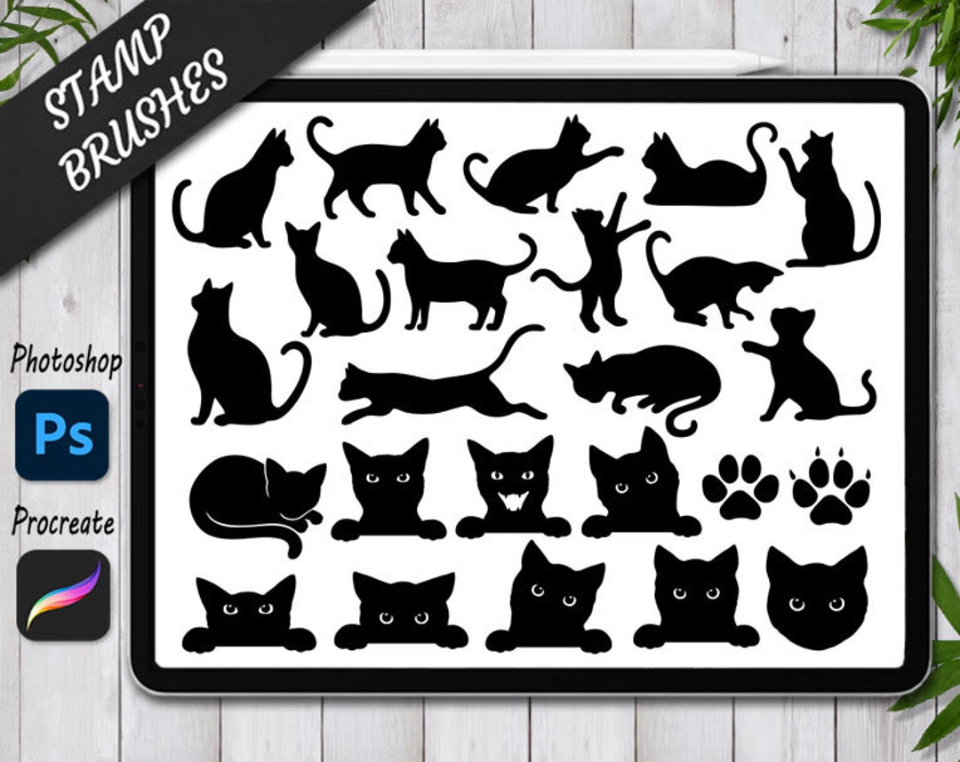 Cats Bundle Stamps Brushes for Procreate and Photoshop. Procreate Stamp ...