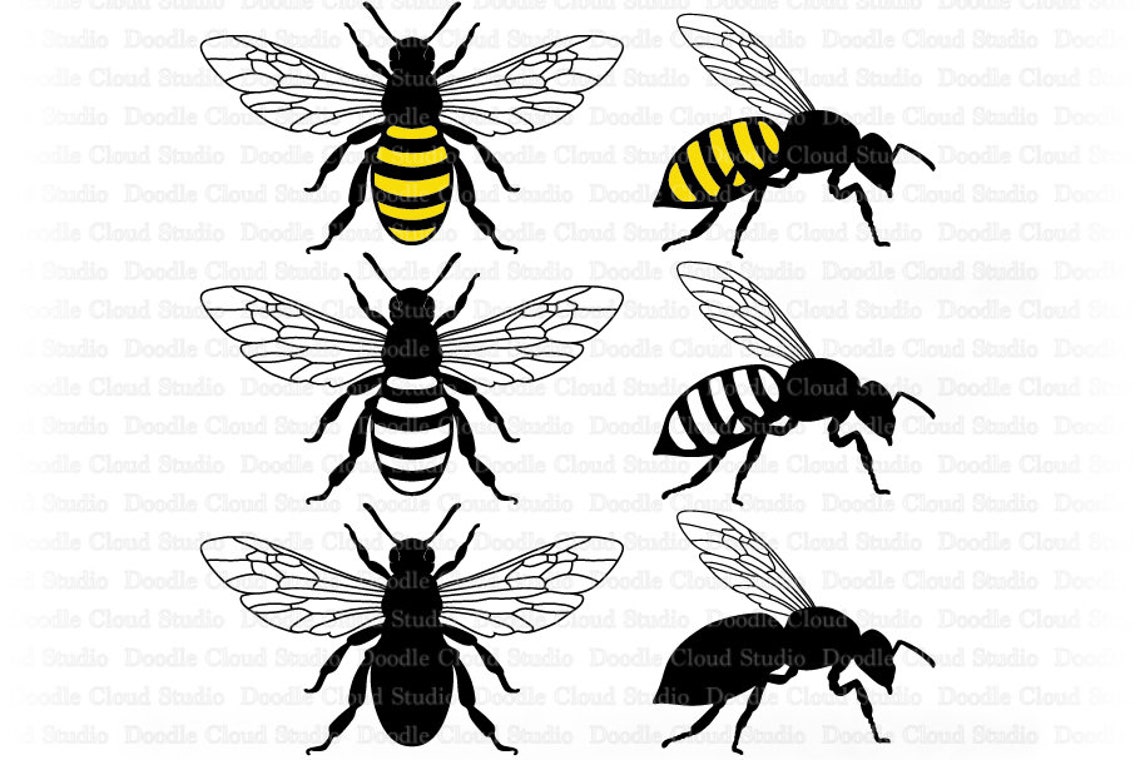 Bee SVG Honey Bee SVG Insect SVG Bee Svg Files for | Etsy