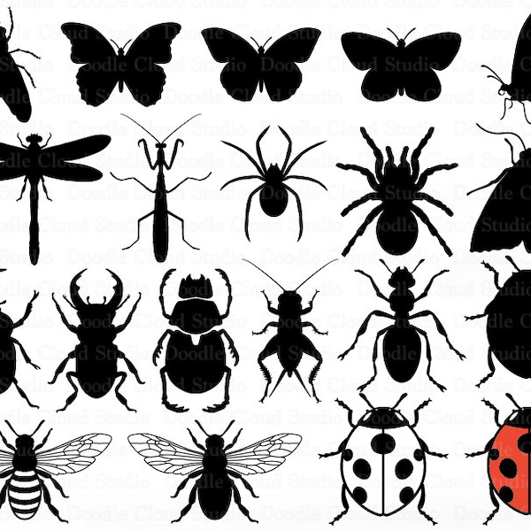 Insect Clipart - Etsy