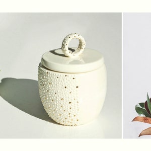 Handmade Ceramic Sugar Basin. Porcelain Dainty Sugar Bowl. Modern Jar ...