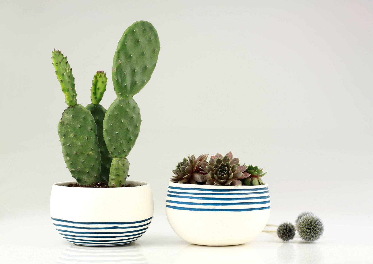 Handmade Ceramic Planter. Minimalist Porcelain Cactus Planter ...