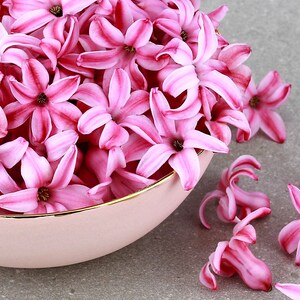 Porcelain Minimalist Bowl. Handmade Ceramic Bowl. Simple Serving ...