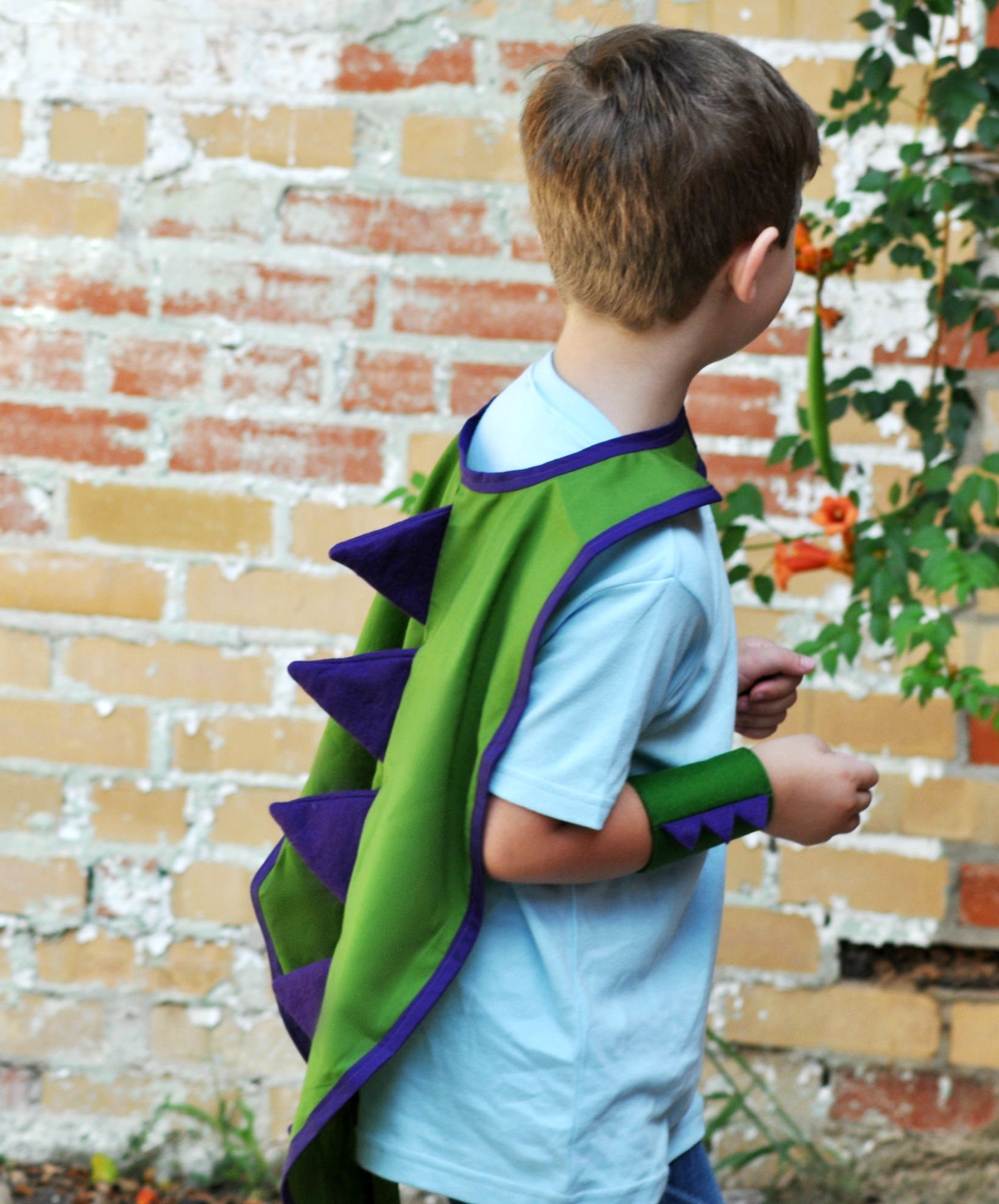 Dinosaur Cape Dragon Cape Dinosaur Party Dinosaur - Etsy UK