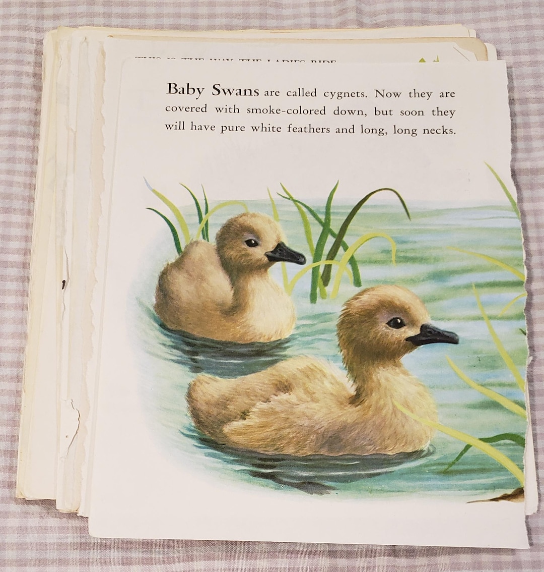 Vintage Little Golden Book Pages - Illustrated Book Pages 30 Sheets ...