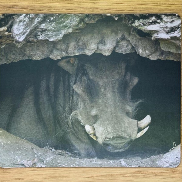 Warthog - Etsy