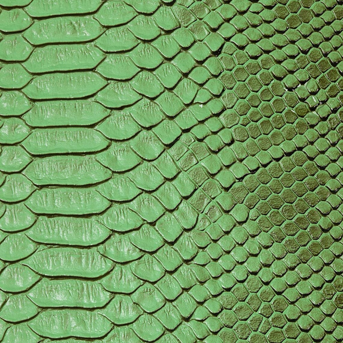 Green Faux Viper Sopythana Snake Skin Vinyl Fabric - Sold by the Yard ...