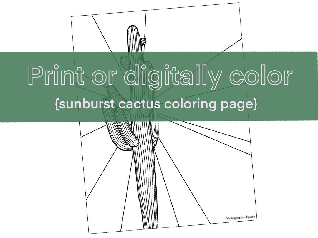 Sunburst Cactus Coloring Page - Etsy