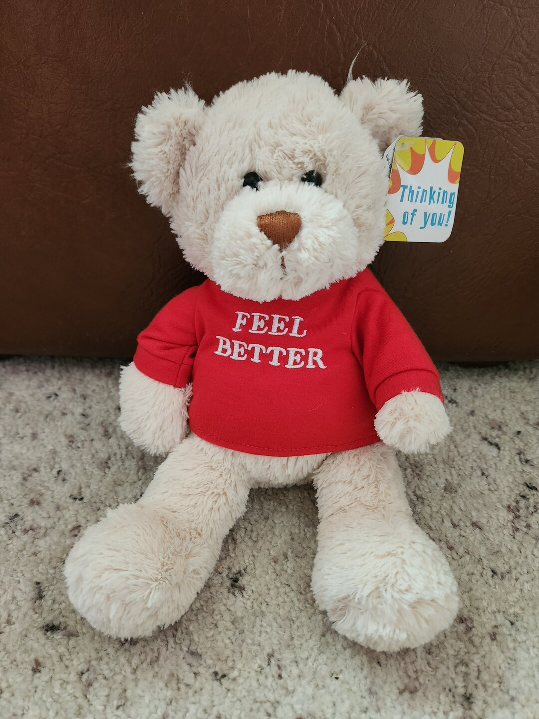 GUND - Feel Better T-shirt Bear Stuffed Animal - Etsy