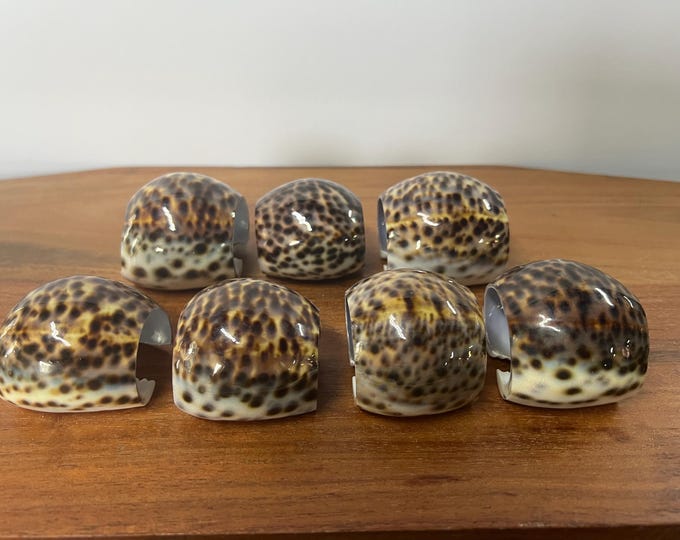 Spotted Tiger Cowrie Shell Napkin Rings, Napkin Holders. Set of 7 - Etsy