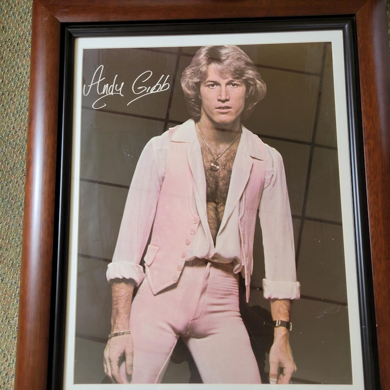 Andy Gibb - Etsy