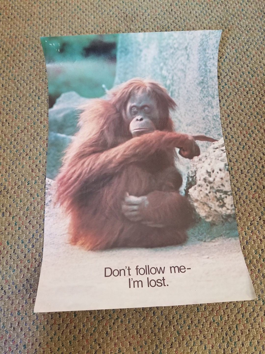 Vintage Don't Follow Me I'm Lost Orangutan Classroom Poster - Etsy