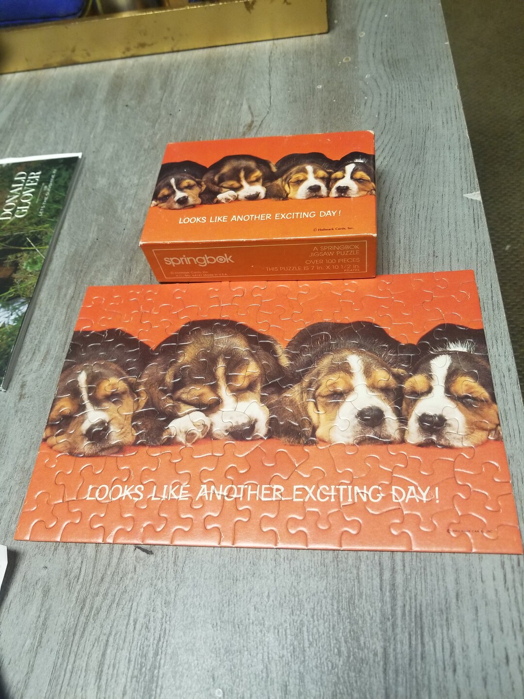 Rare 100 Piece 1985 Springbok Mini Puzzle. ...another Exciting Day ...