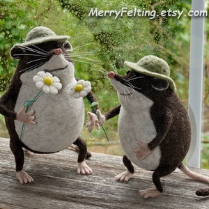 Water Shrew, Water Mouse, Mouse With Flower, Smiling Mouse, Needle ...