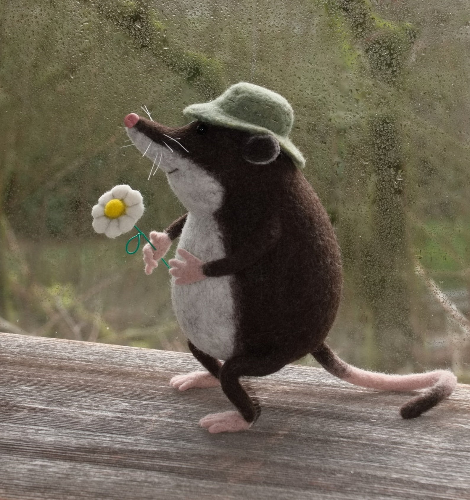Water Shrew, Water Mouse, Mouse With Flower, Smiling Mouse, Needle ...
