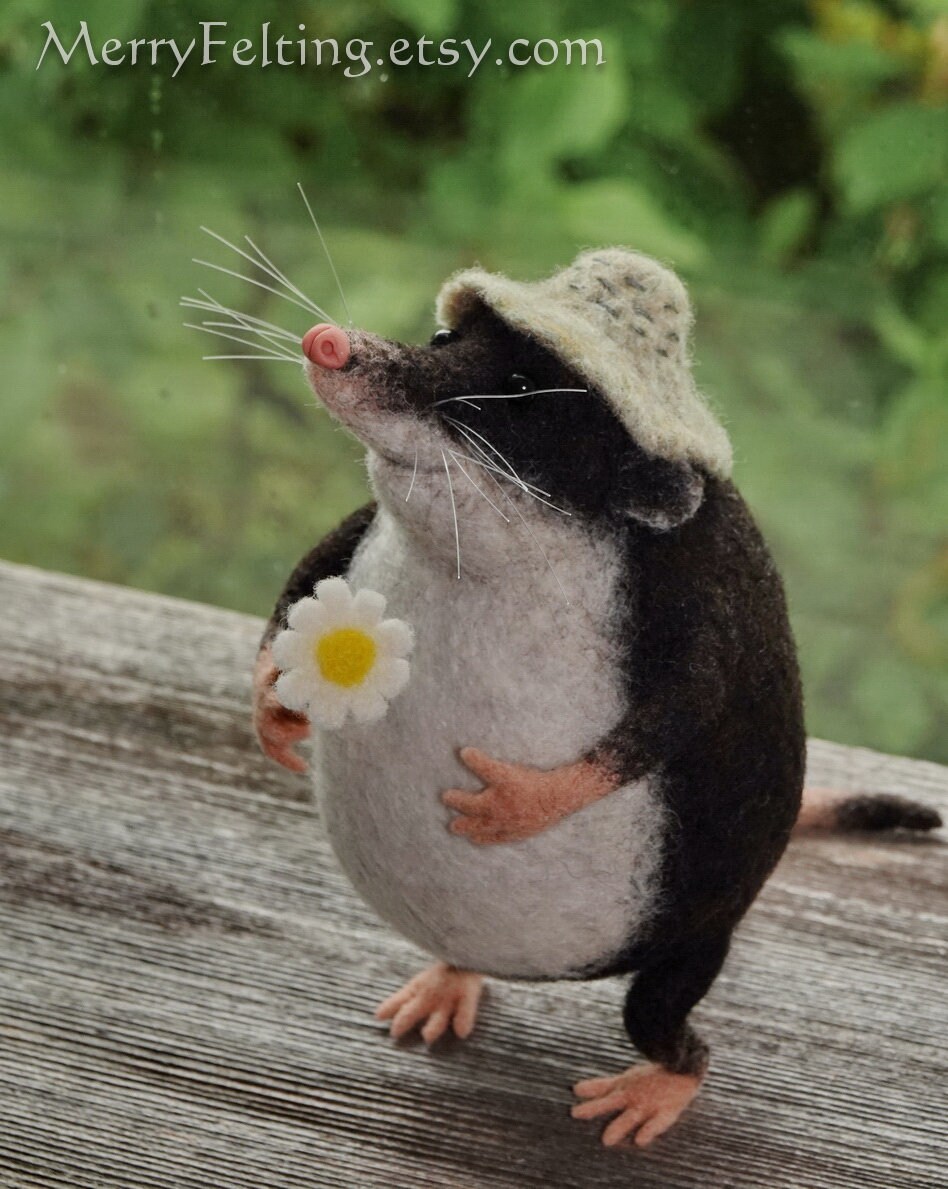 Water Shrew Water Mouse Mouse With Flower Smiling Mouse - Etsy Canada