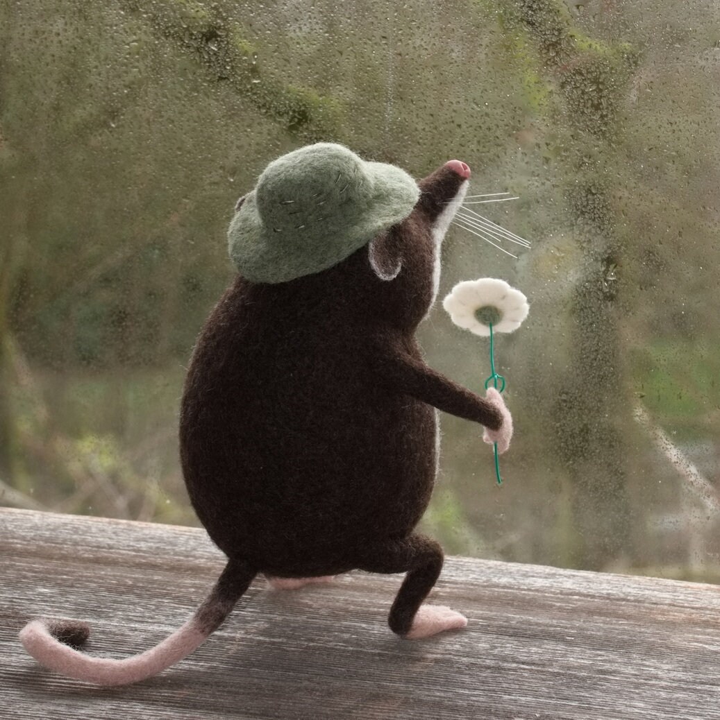 Water Shrew, Water Mouse, Mouse With Flower, Smiling Mouse, Needle ...