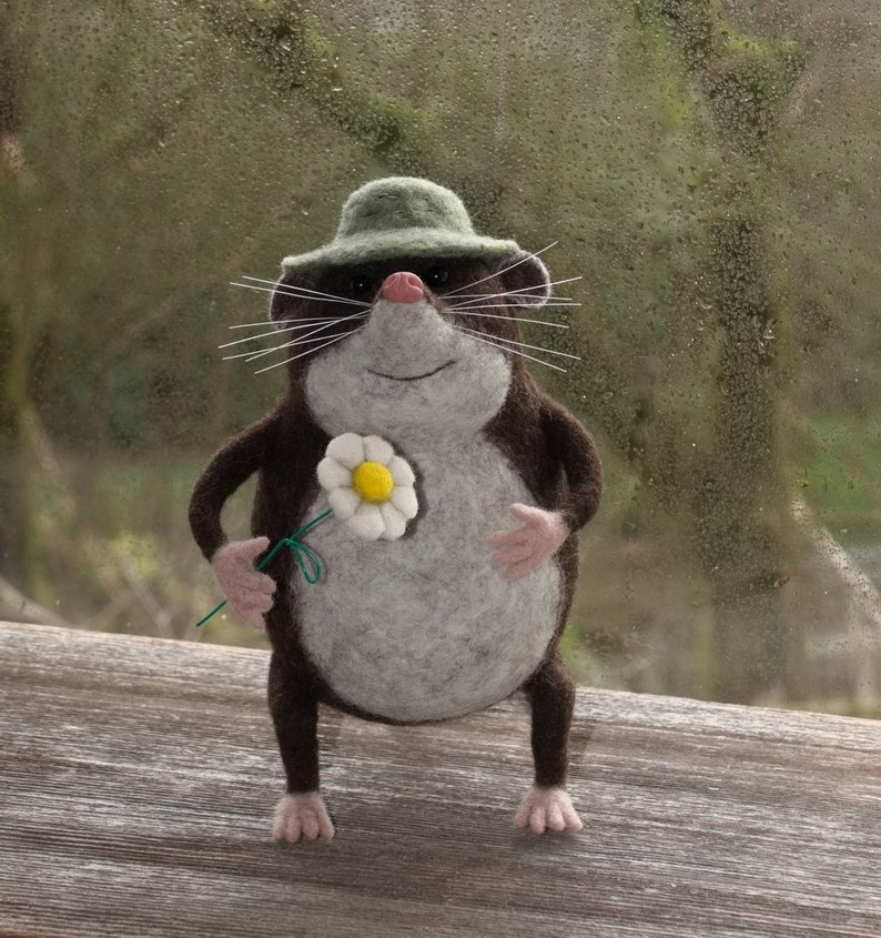 Water Shrew, Water Mouse, Mouse With Flower, Smiling Mouse, Needle ...