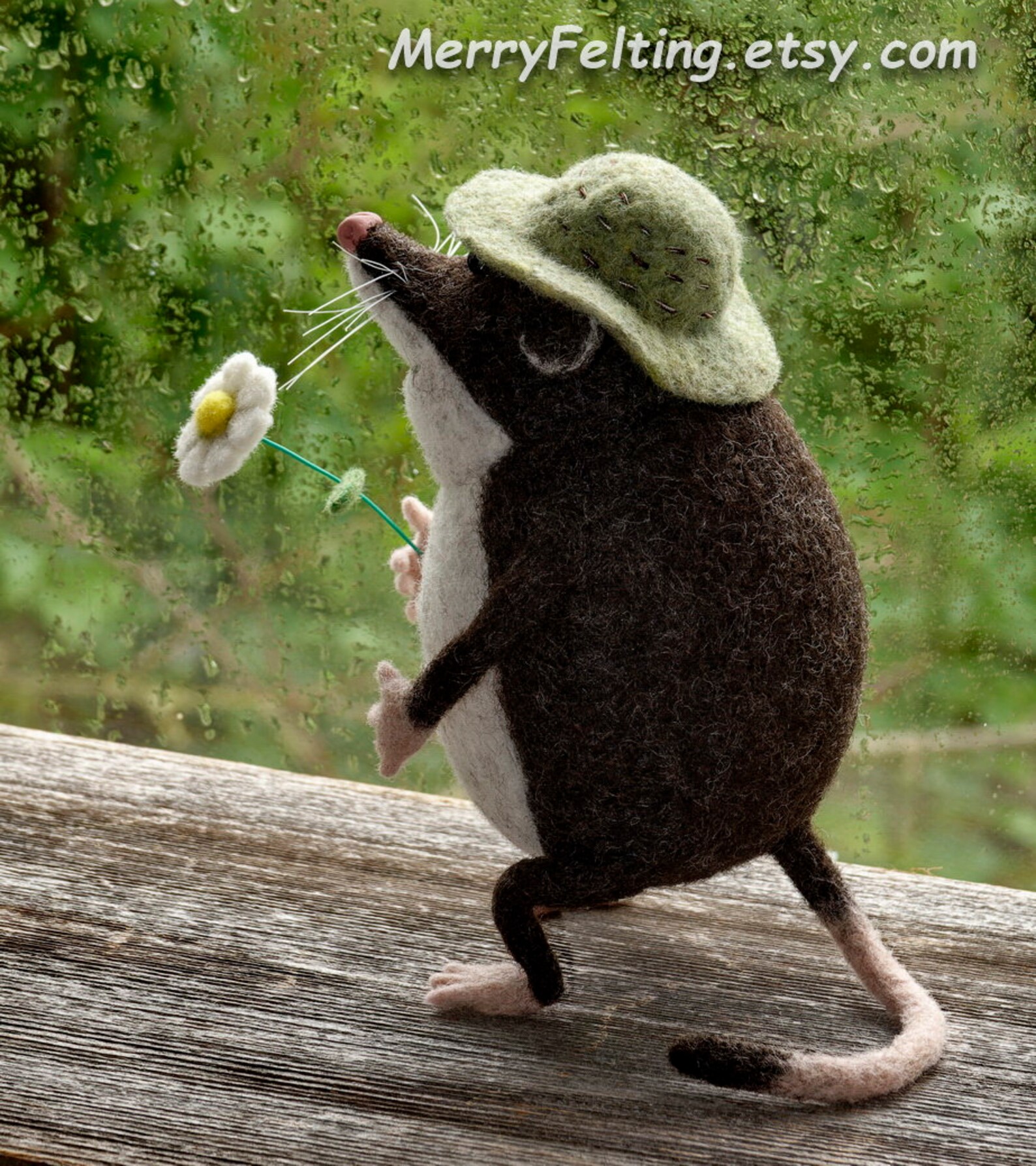 Water Shrew, Water Mouse, Mouse With Flower, Smiling Mouse, Needle ...