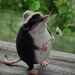 Water Shrew Water Mouse Mouse With Flower Smiling Mouse - Etsy Canada