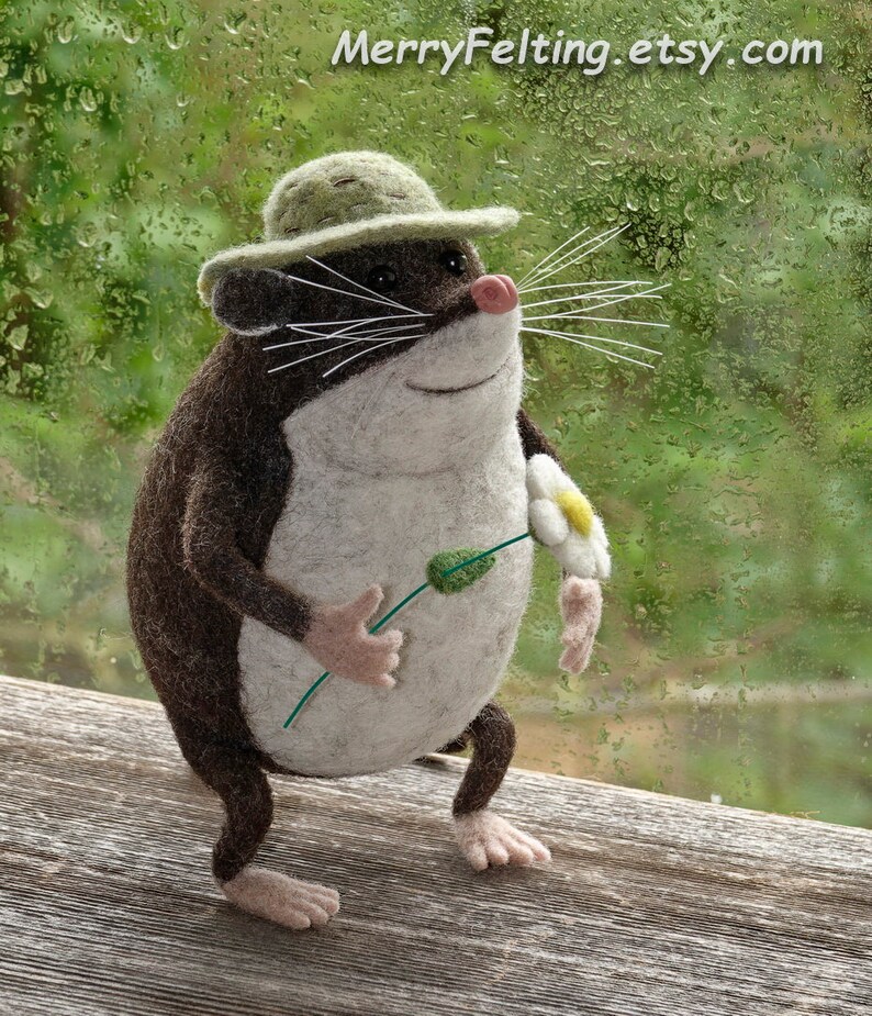 Water Shrew, Water Mouse, Mouse With Flower, Smiling Mouse, Needle ...