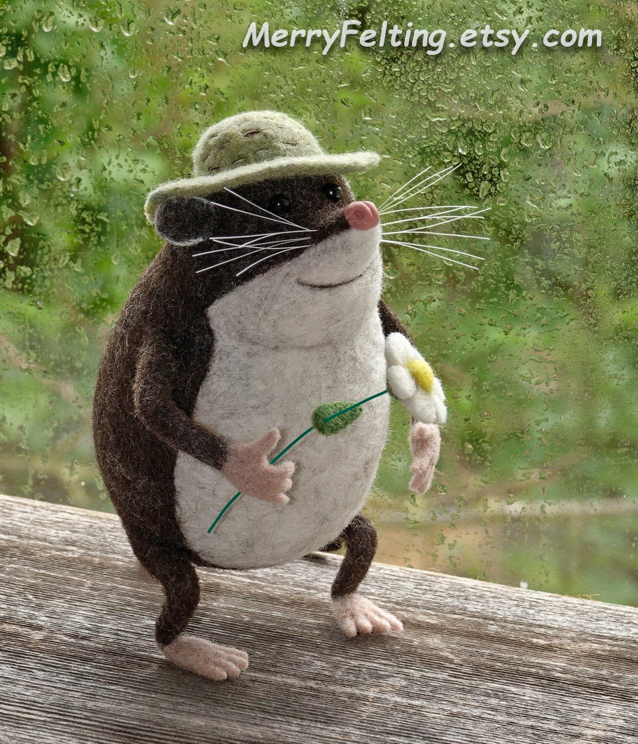Water Shrew, Water Mouse, Mouse With Flower, Smiling Mouse, Needle ...