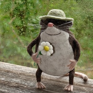 Water Shrew, Water Mouse, Mouse With Flower, Smiling Mouse, Needle ...