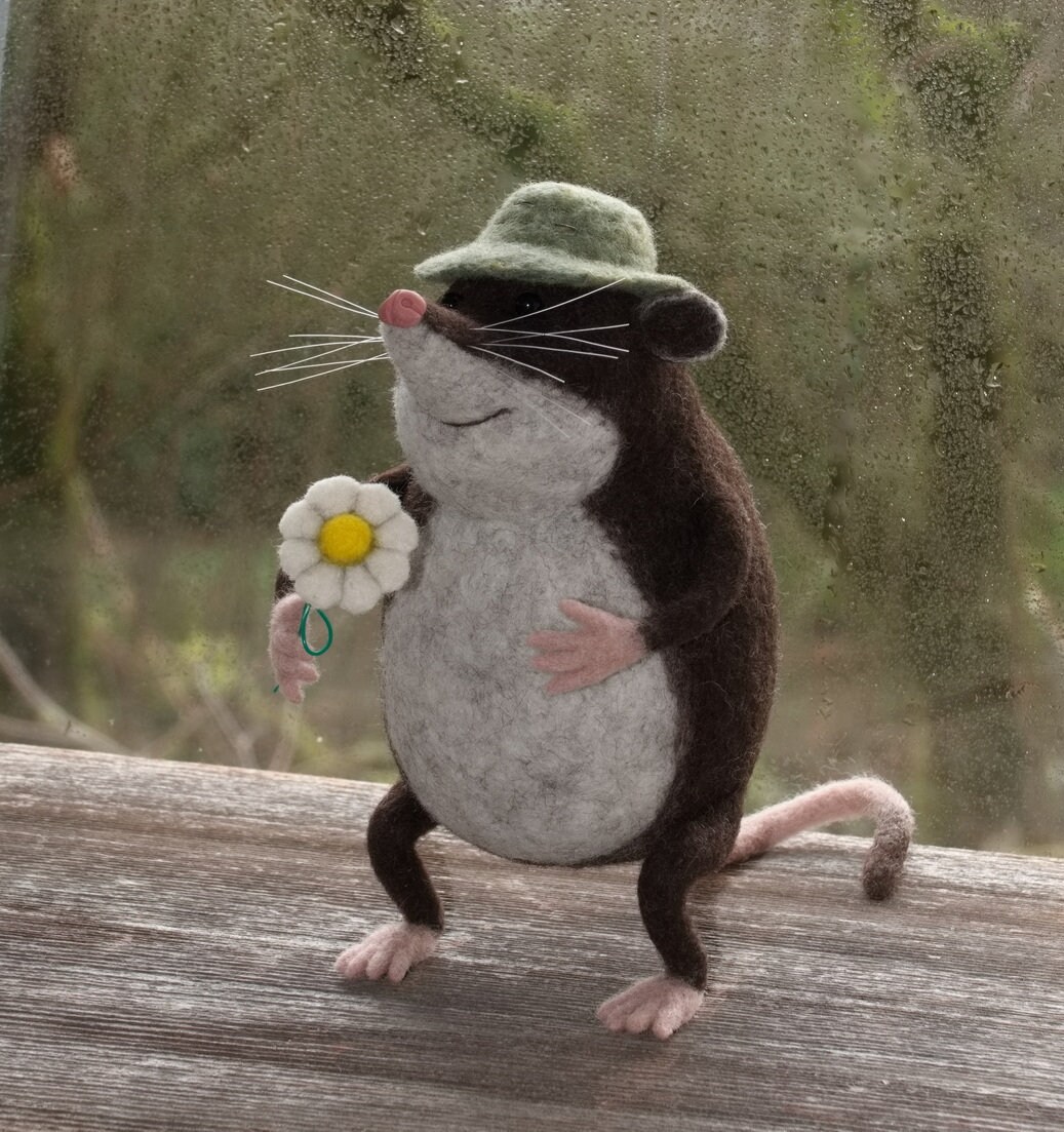 Water Shrew, Water Mouse, Mouse With Flower, Smiling Mouse, Needle ...