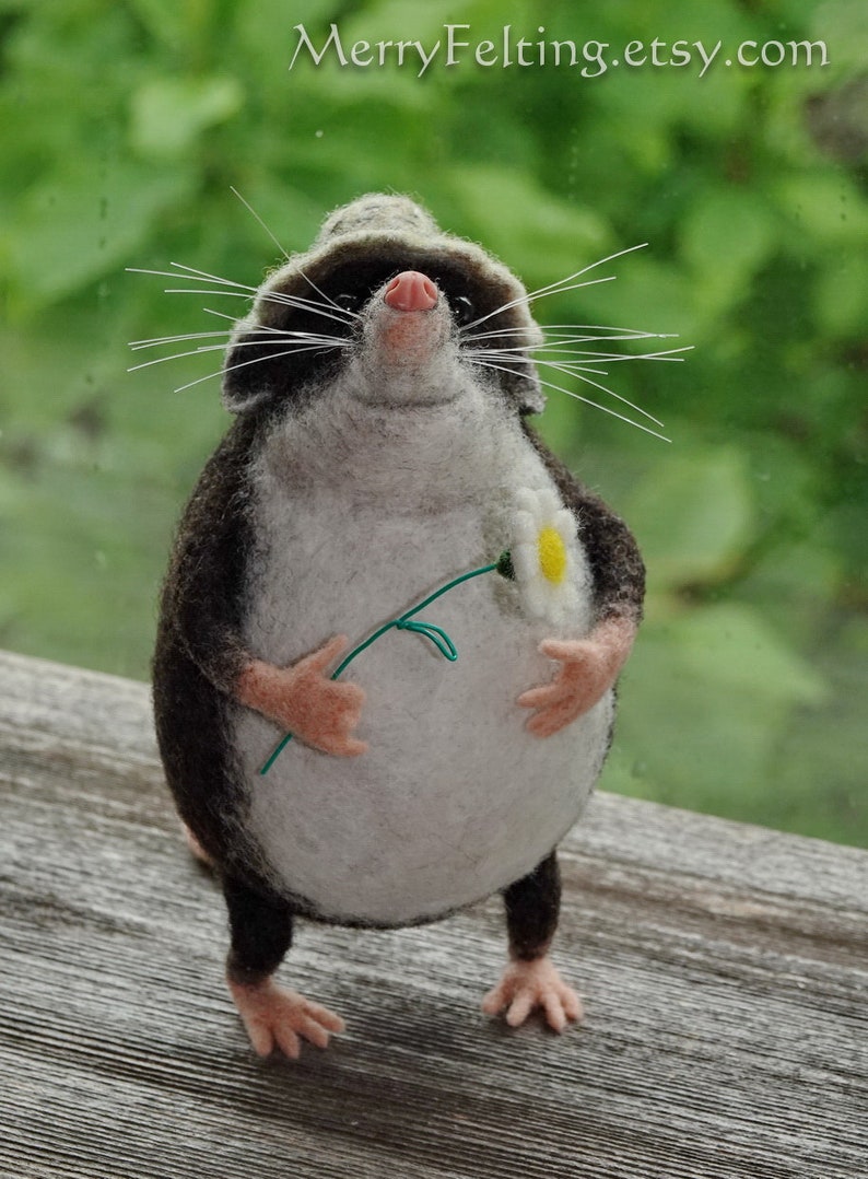 Water Shrew Water Mouse Mouse With Flower Smiling Mouse - Etsy