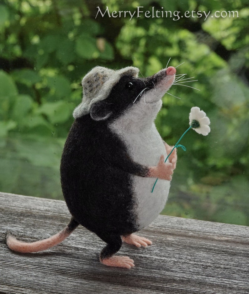 Water Shrew Water Mouse Mouse With Flower Smiling Mouse - Etsy Canada