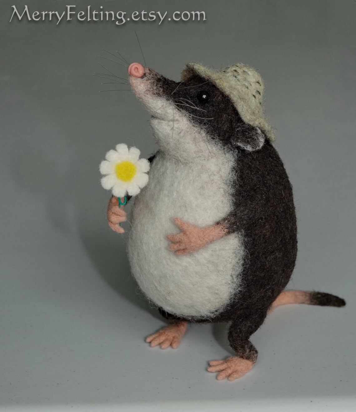 Water Shrew Water Mouse Mouse With Flower Smiling Mouse - Etsy