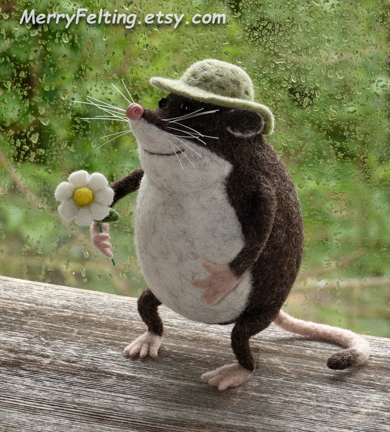 Water Shrew, Water Mouse, Mouse With Flower, Smiling Mouse, Needle ...